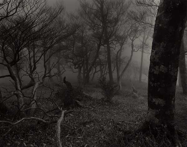 Some Good Might Come out of this Nuclear Mess | ZEN FOTO GALLERY - アジア ...